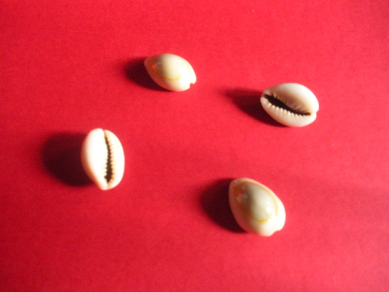 CAURIS MANAGEMENT CEDE SES PARTS DANS ABI ET BBG CI | Financial Afrik