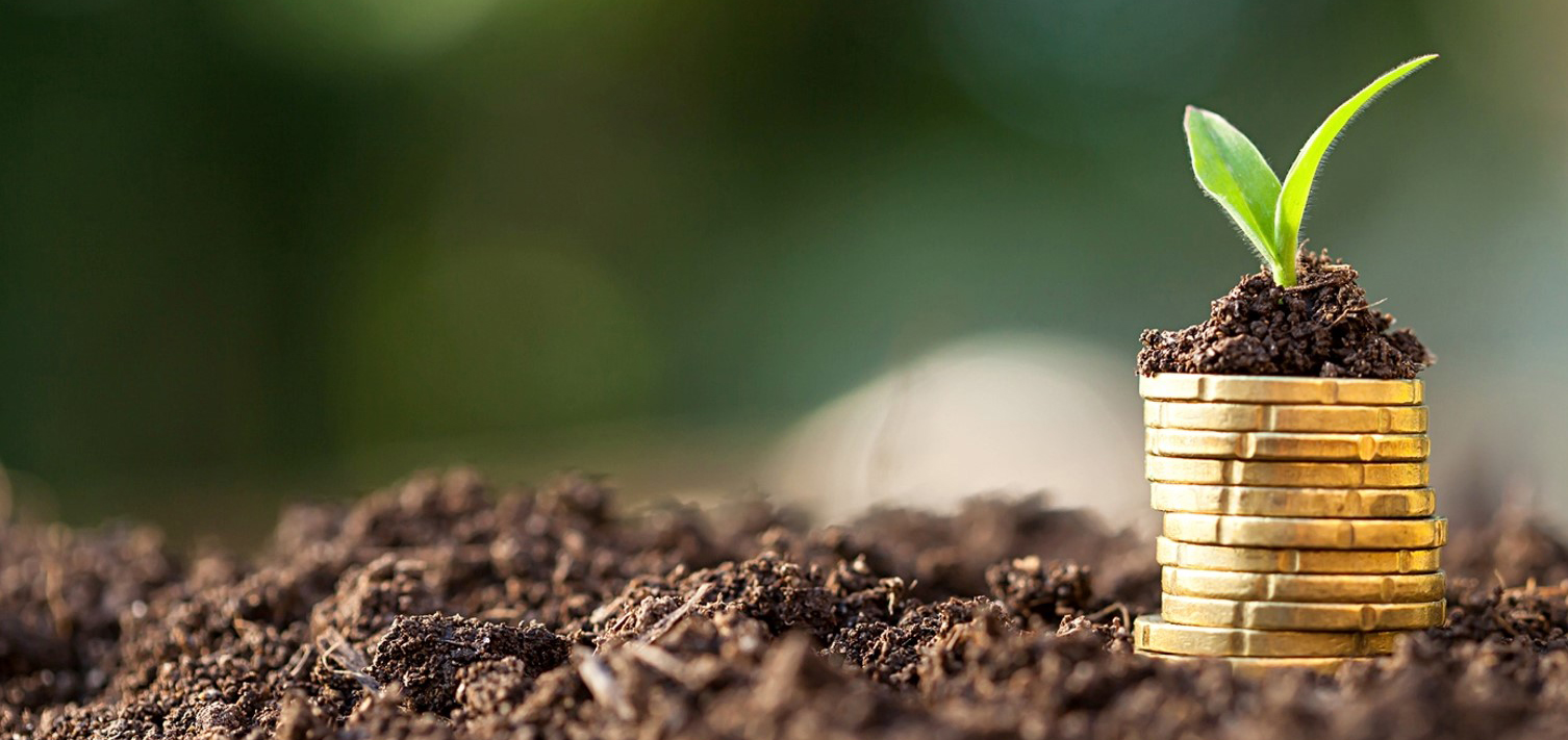 COP22 : Attijariwafa bank veut booster la Finance verte sur le ...