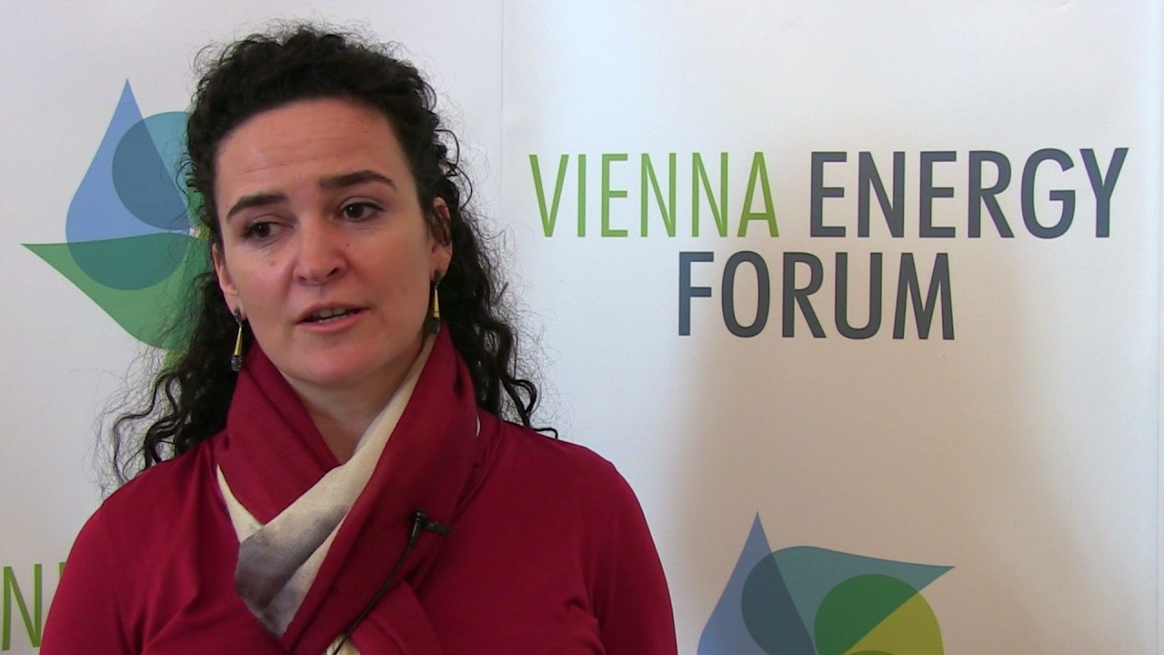 Les FIC envisagent de lever 500 millions USD d’obligations vertes entre ...