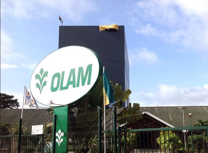 Gabon : la société Olam Palm pour produire le biocarburant | Financial ...
