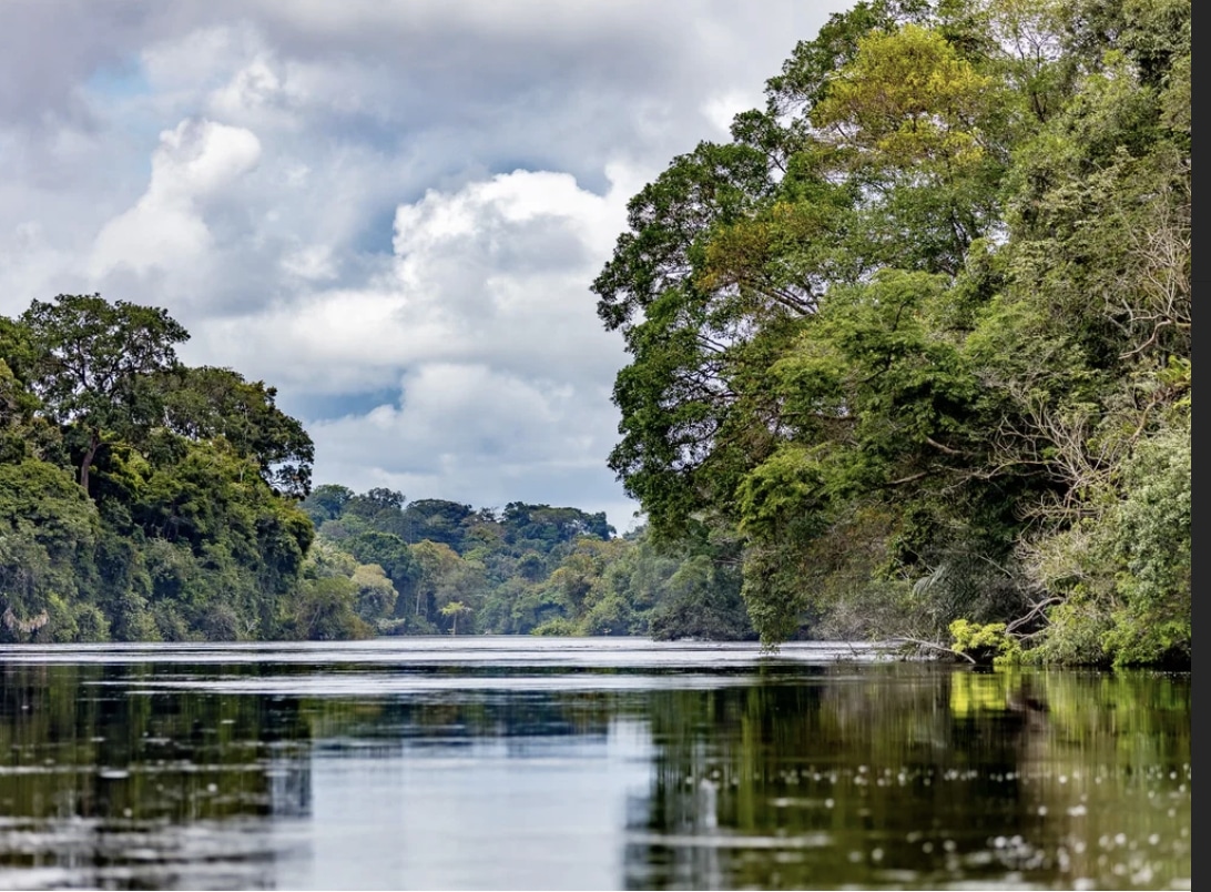 Meridiam et Gabon Power Company réalisent avec succès le closing ...