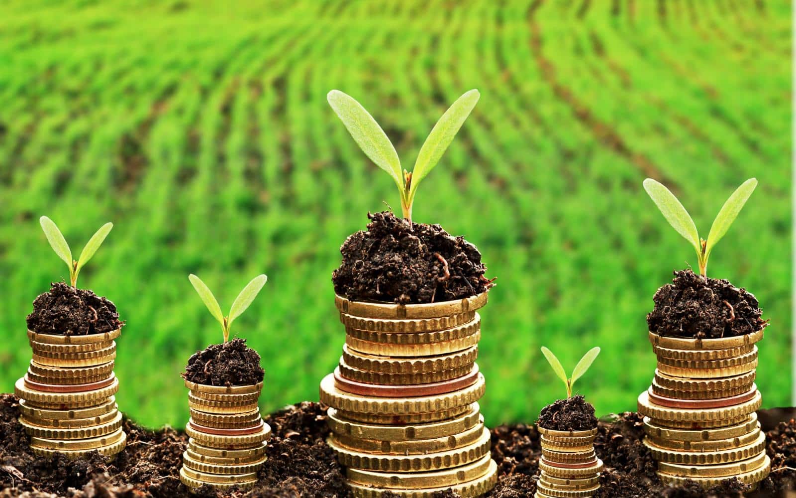 Cameroun : 2,5 milliards USD pour la transition vers une économie verte ...