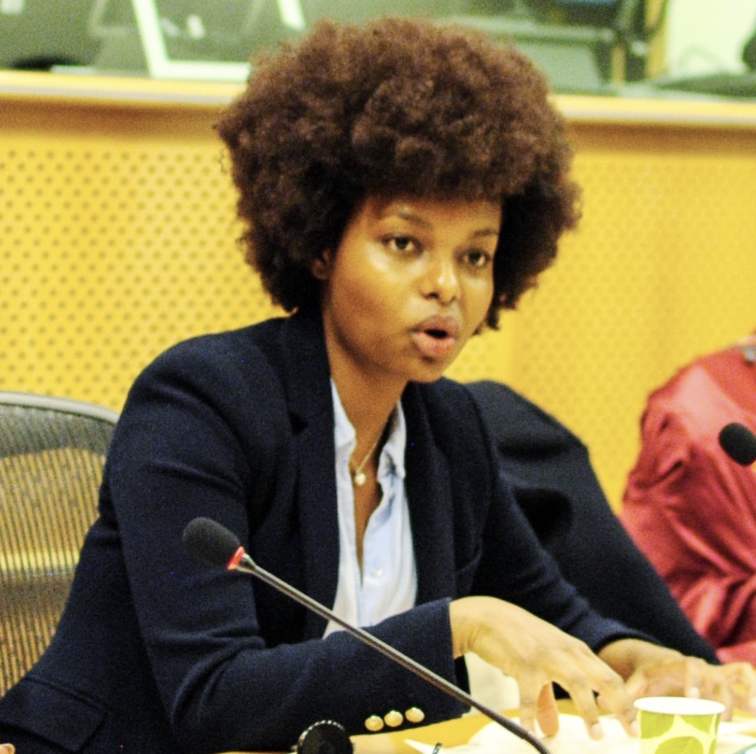 Gerardine Mahoro : "au sommet Afrique France de Montpellier, le socio ...