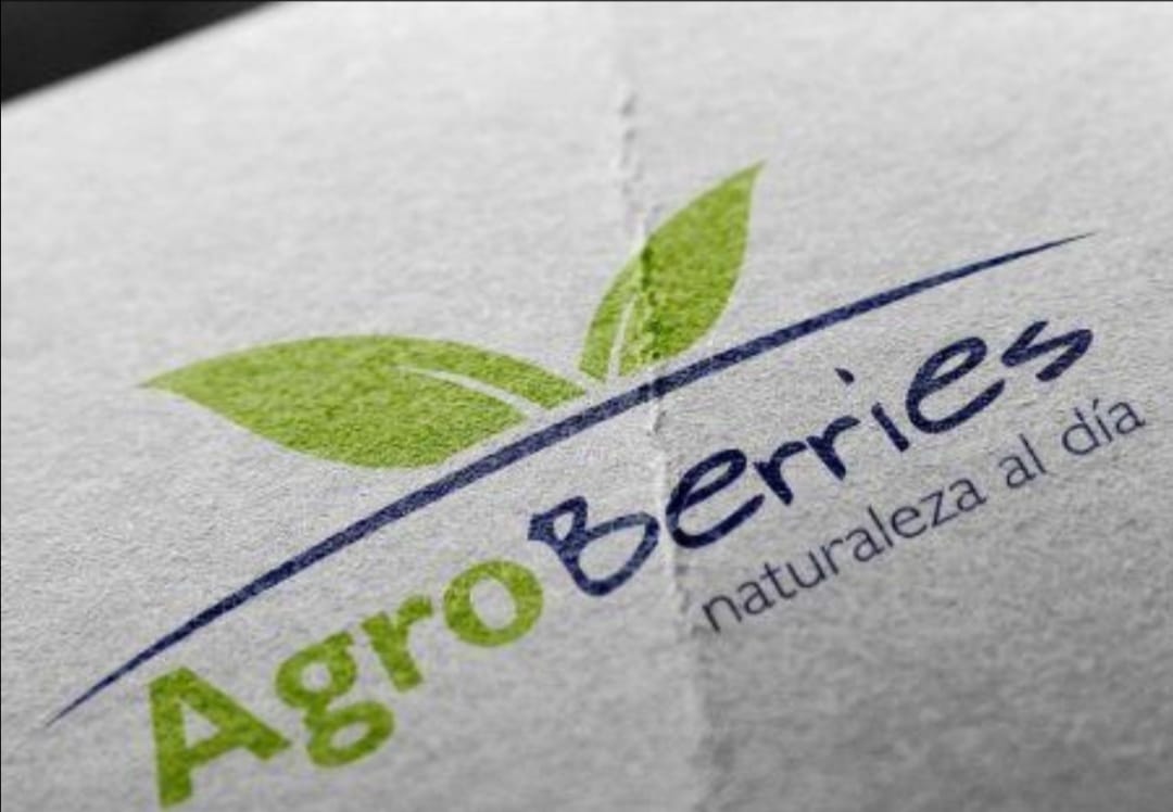 Maroc: Agroberries annonce 40 millions USD d’investissements dans la ...