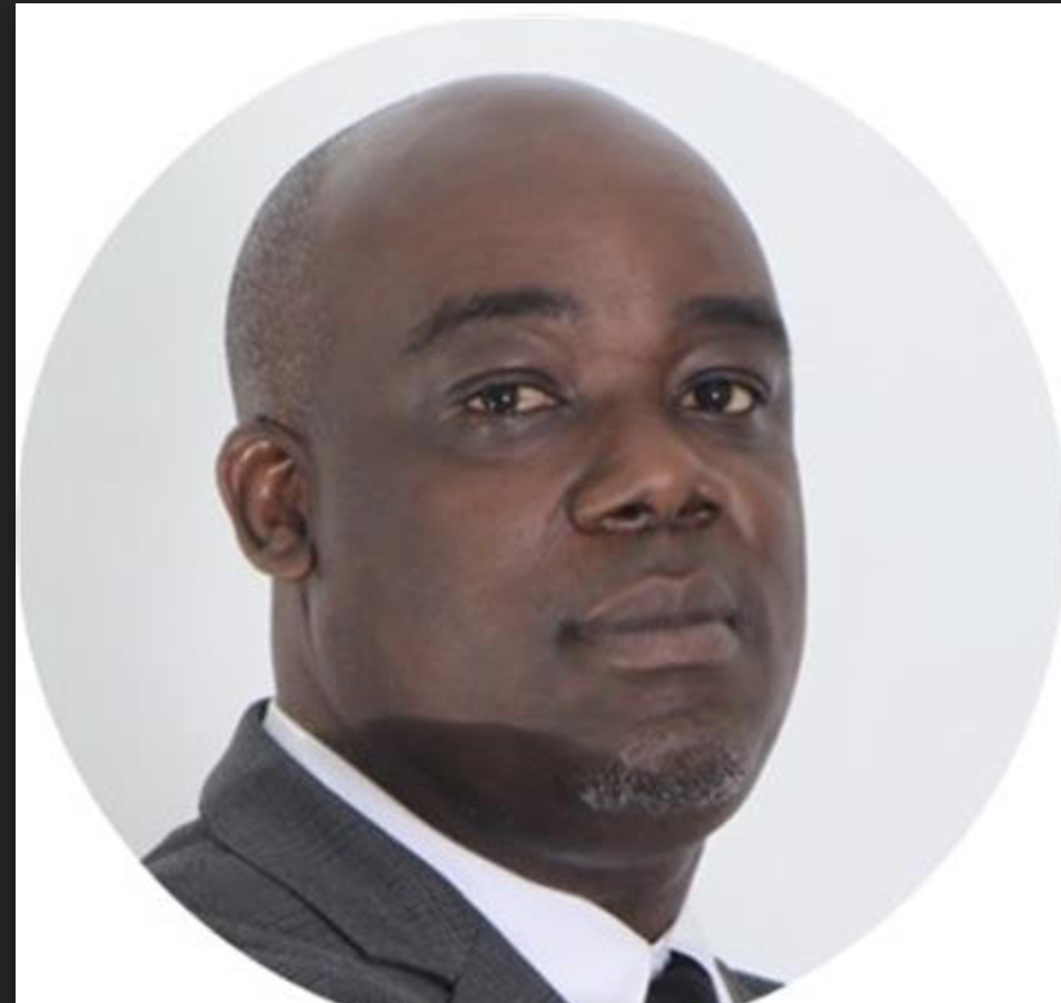 Sylvain Olivier IBRAIMA, Directeur Consulting chez Deloitte Côte d ...