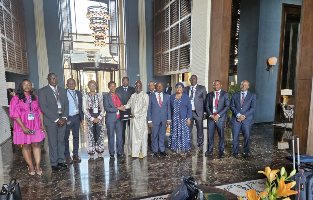 La BIDC accorde un prêt de 50 millions d’euros à Vista Group Holding ...