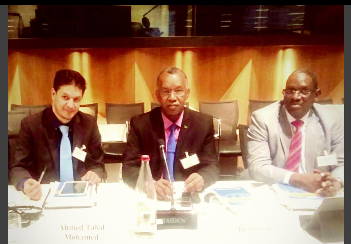 La Mauritanie regorge de compétences | Financial Afrik