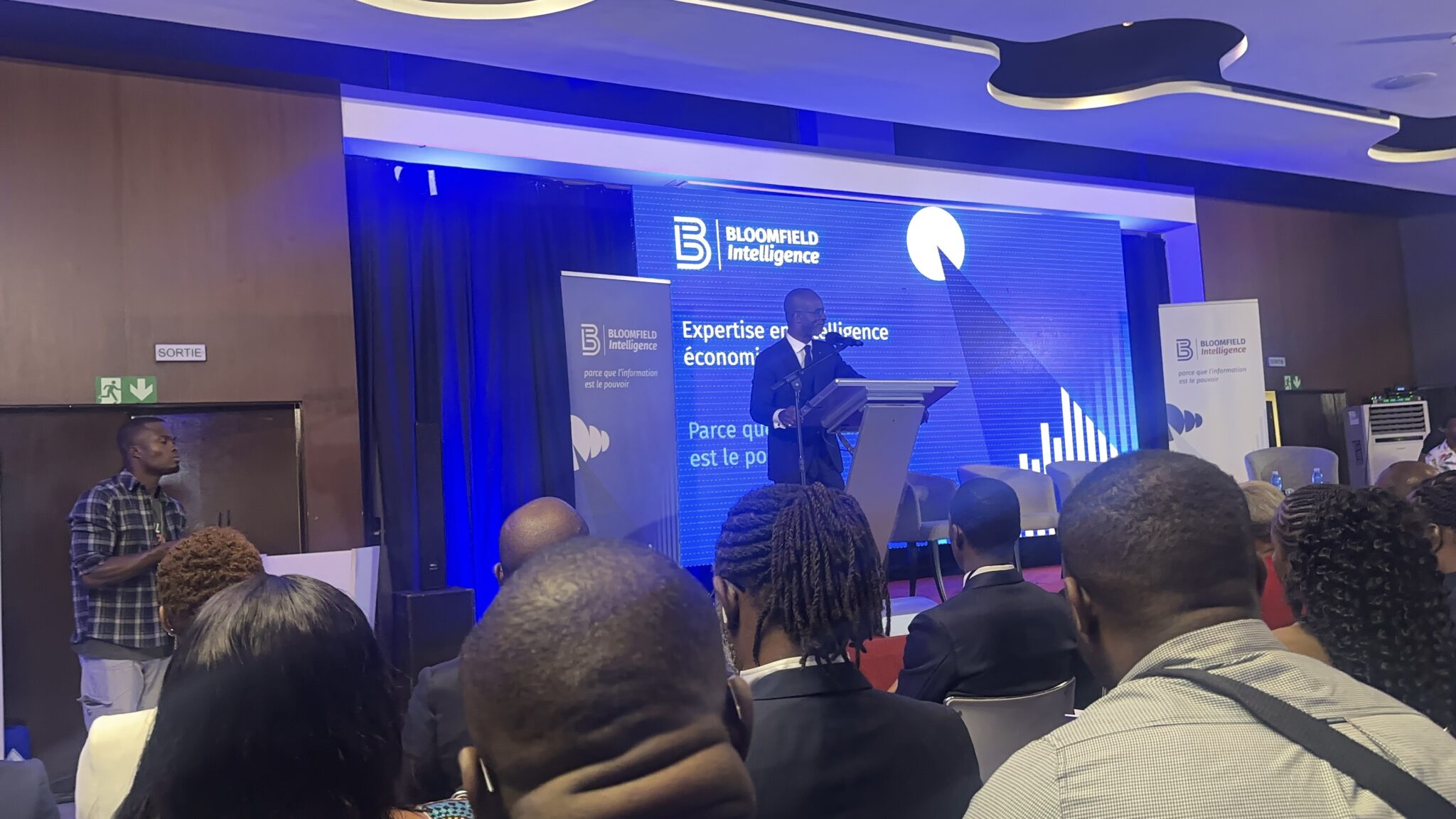 Bloomfield Intelligence : un nouvel outil d’analyse de risques est né | Financial Afrik