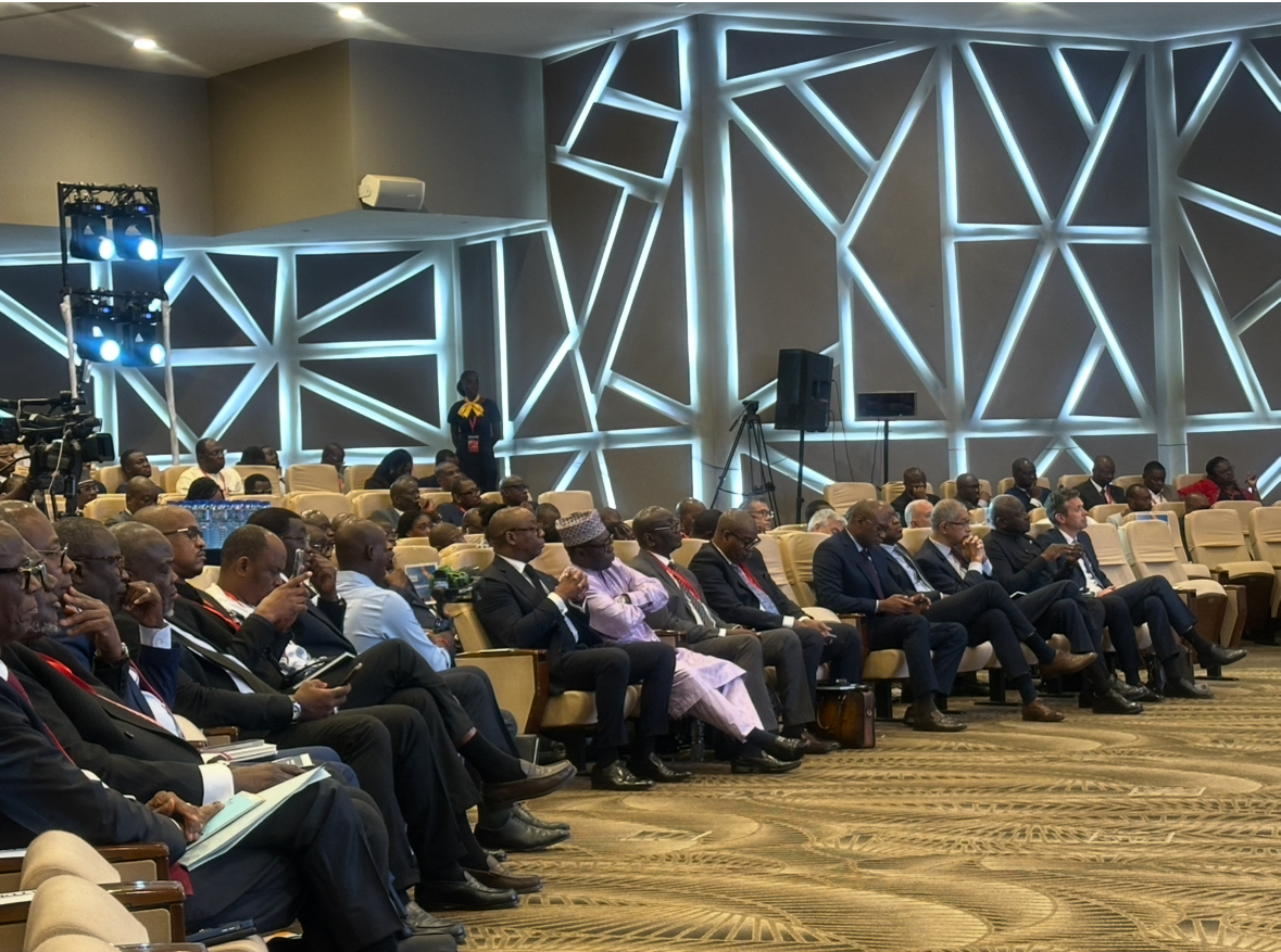 À Lomé, les BOAD Développement Days replacent l’énergie au centre des ...